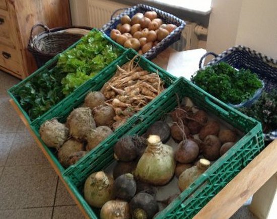 Landei trifft Stadtkind | 371 Stadtmagazin